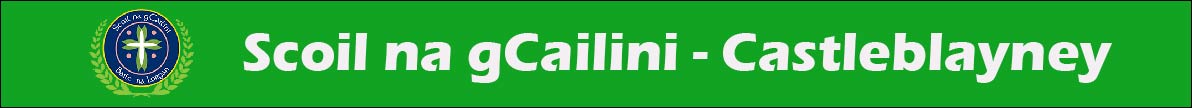 Scoil na gCailini Castleblayney – Declan Loughman Sports